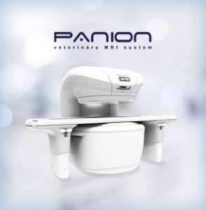 PANION PREMIER – Time Medical India